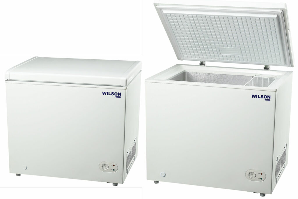 Chest freezers 300 liters - WilsonElectric
